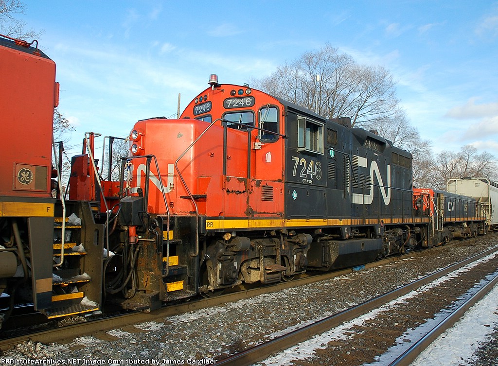 CN 7246